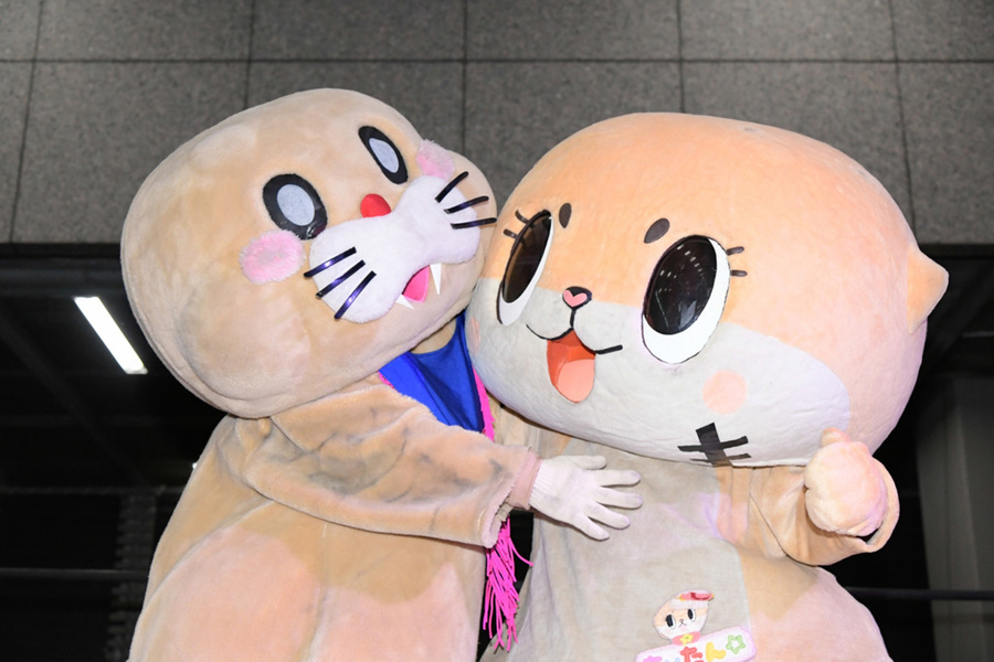 DDT: Chiitan y Pokotan, el verdadero dream team | Superluchas