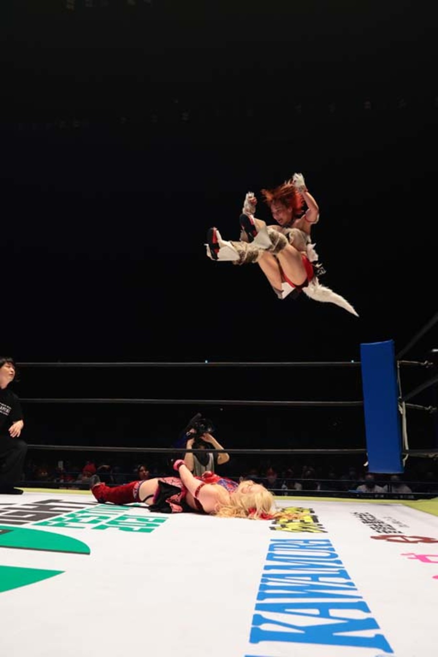 Cyberfight Ddt