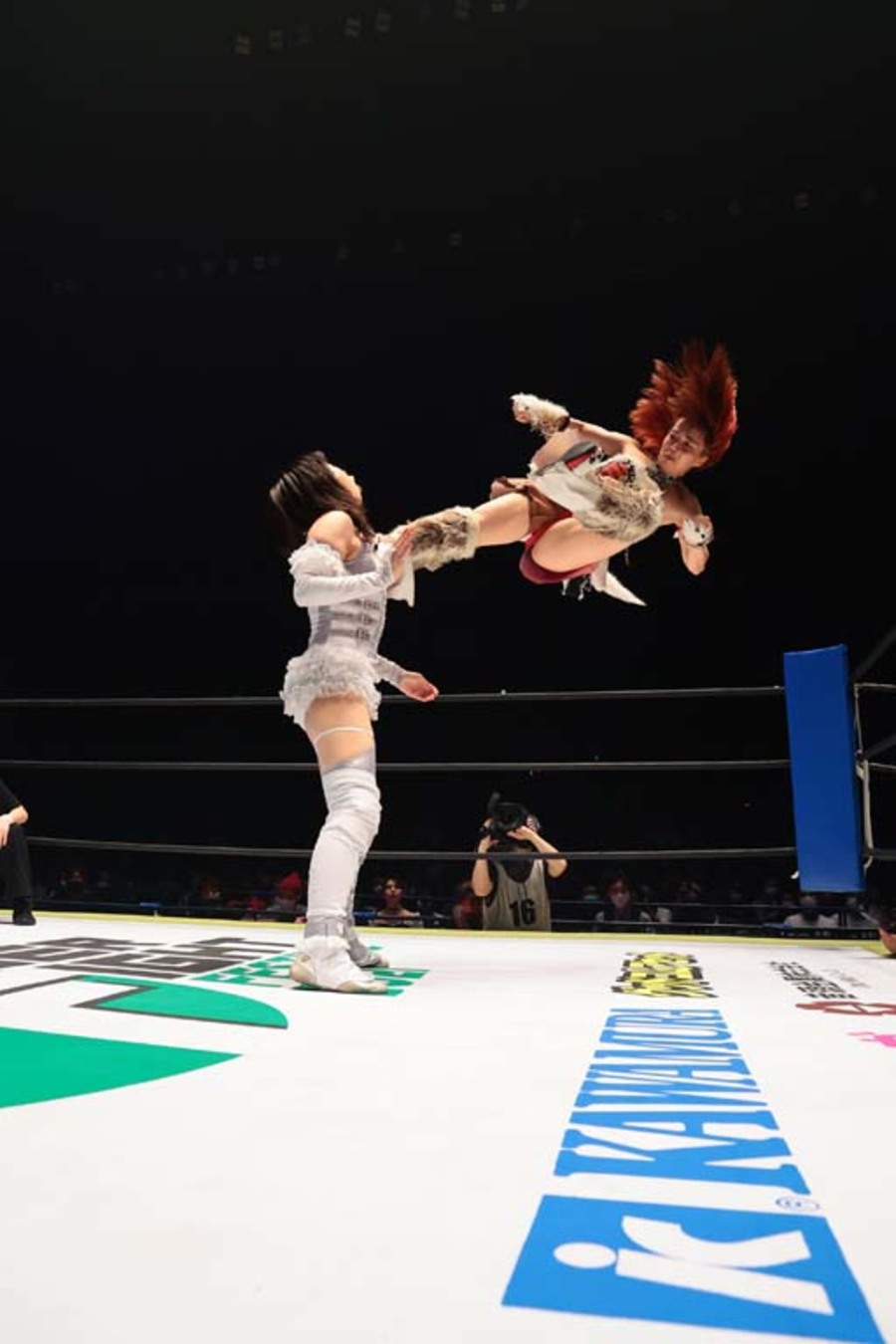 Cyberfight Ddt