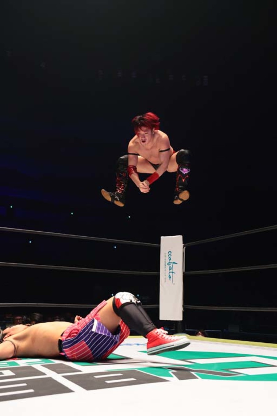 Cyberfight Ddt