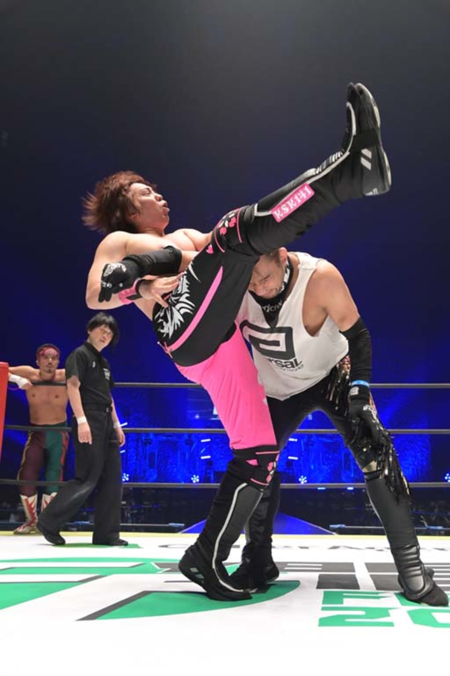 Cyberfight Ddt