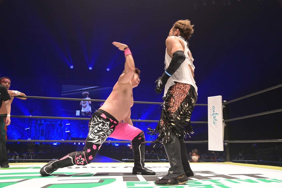 Cyberfight Ddt