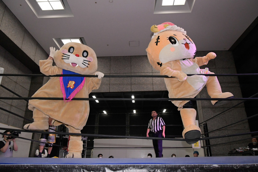 DDT: Chiitan y Pokotan, el verdadero dream team | Superluchas